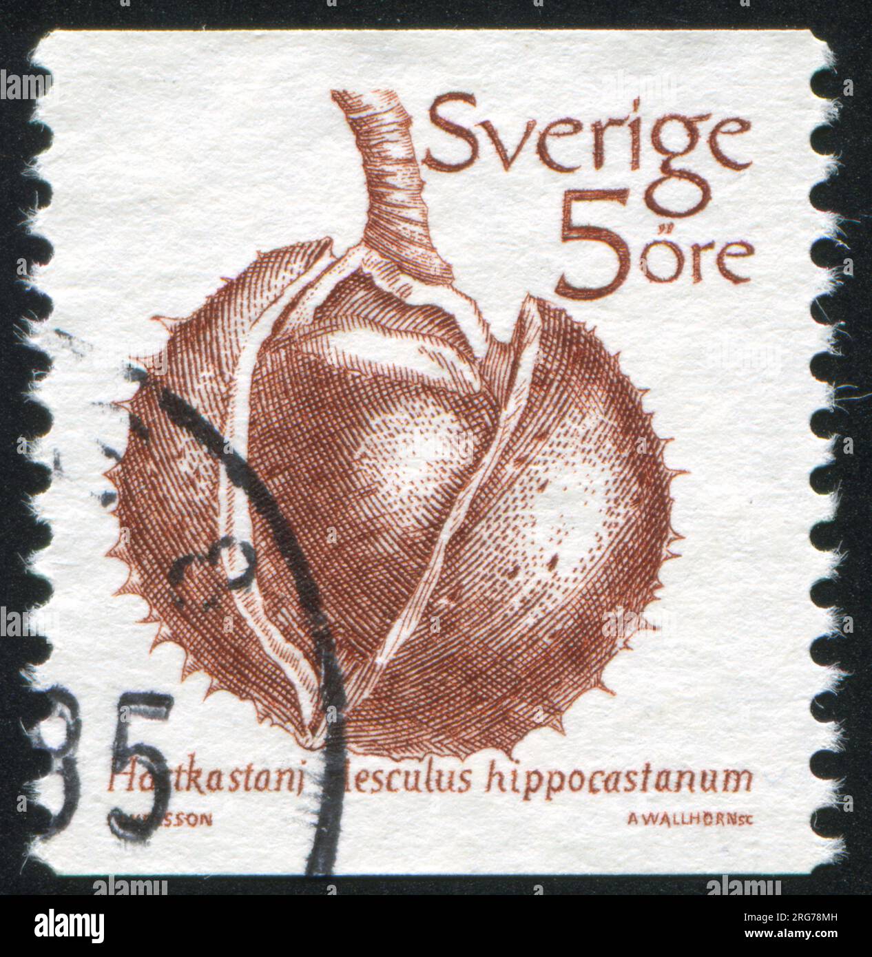 SWEDEN - CIRCA 1983: stamp printed by Sweden, shows Horse chestnut ...