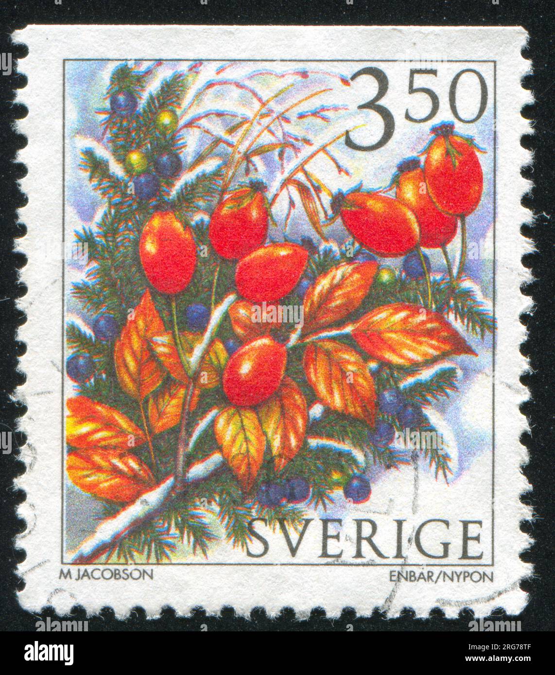 SWEDEN - CIRCA 1996: stamp printed by Sweden, shows Lingonberries and ...