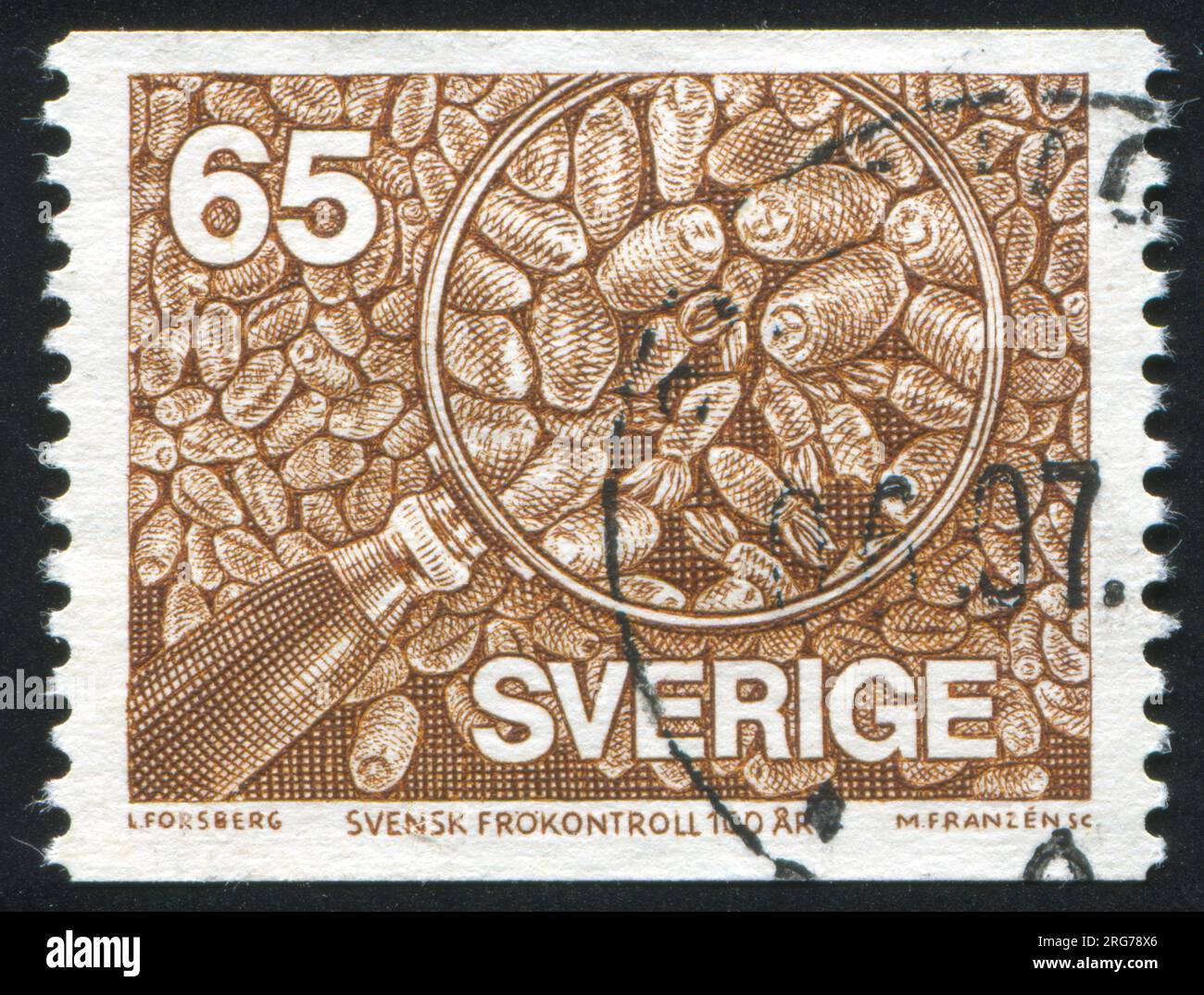 SWEDEN - CIRCA 1976: stamp printed by Sweden, shows Wheat and ...