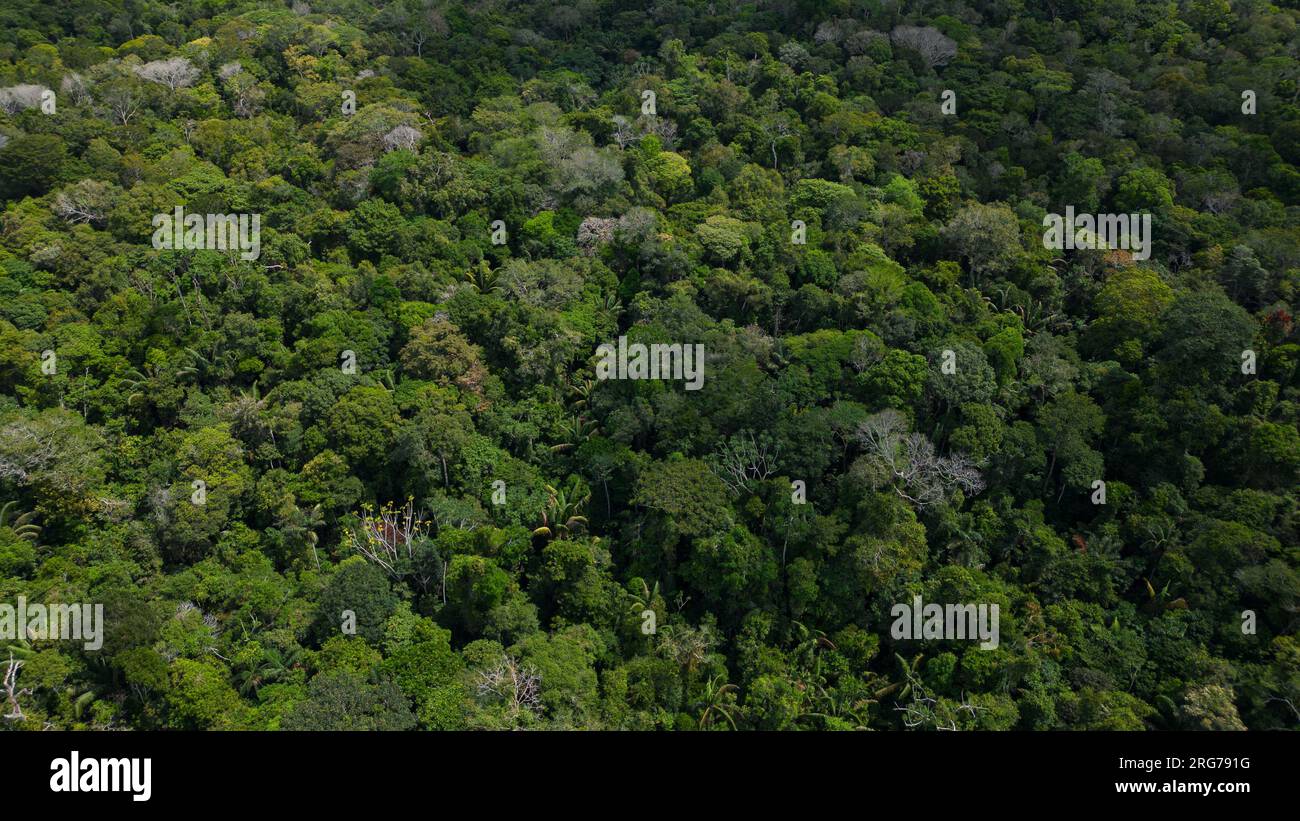 Conservación cambio climático hi-res stock photography and images - Alamy