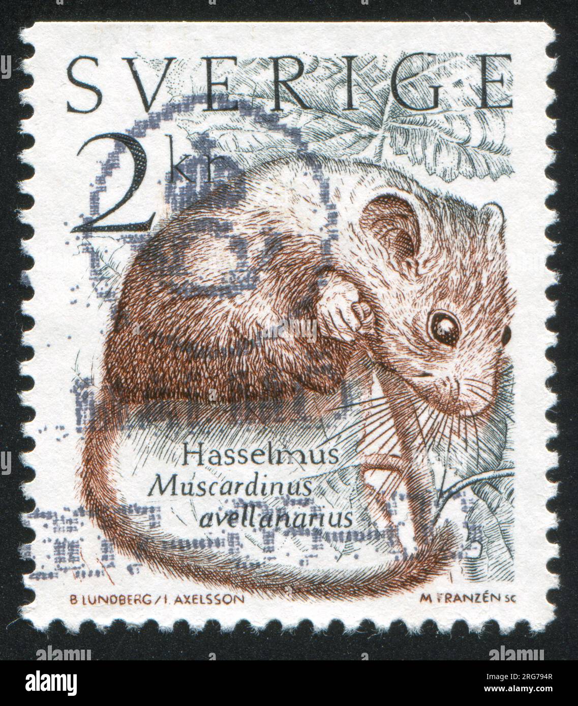 SWEDEN - CIRCA 1985: stamp printed by Sweden, shows Dormouse, circa ...