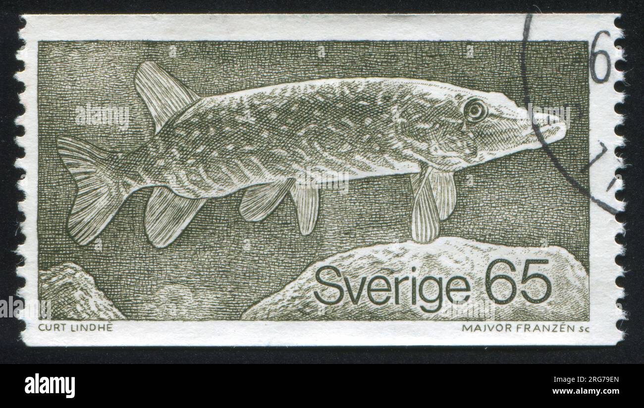 SWEDEN - CIRCA 1979: stamp printed by Sweden, shows Pike, circa 1979 ...