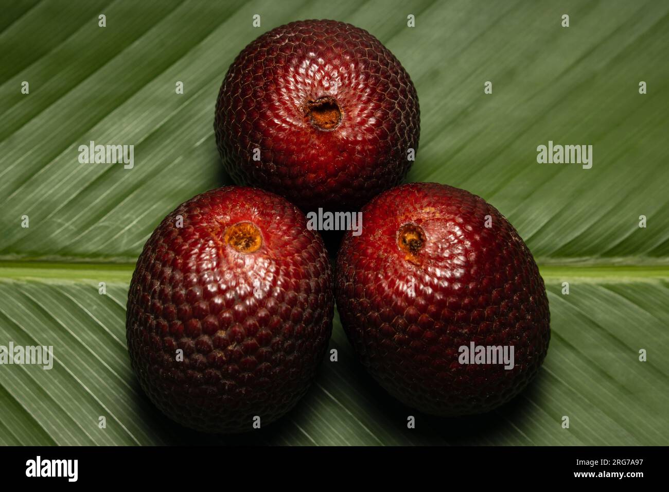 Buruti is a fruit widely consumed in the Amazon, it is nutritious and ...