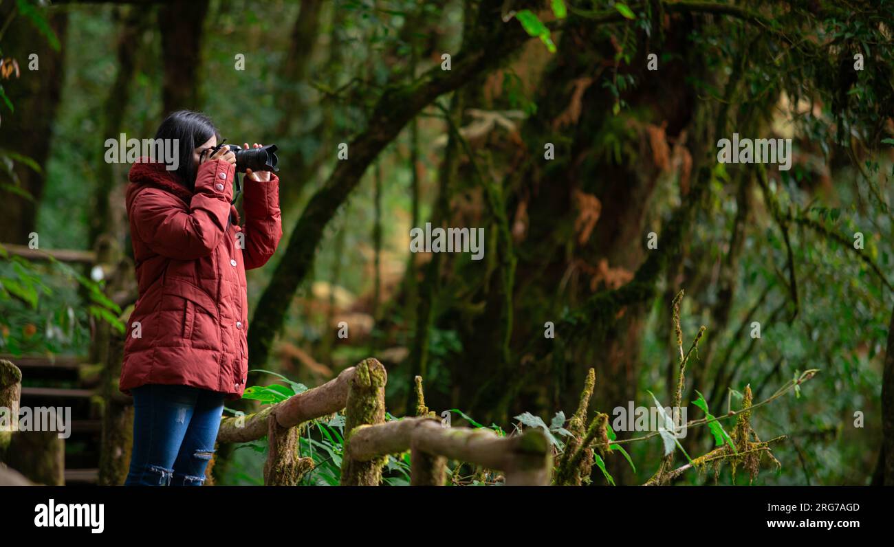 Female photographer taking nature pictures inside the rainforest. travel , Thailand Stock Photo ...