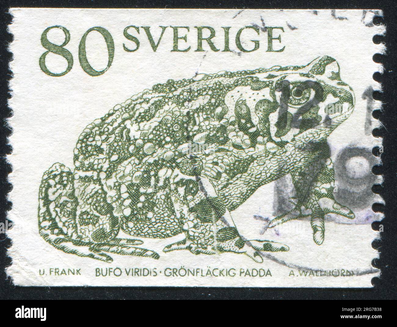 SWEDEN - CIRCA 1979: stamp printed by Sweden, shows Green Spotted Toad, circa 1979 Stock Photo ...