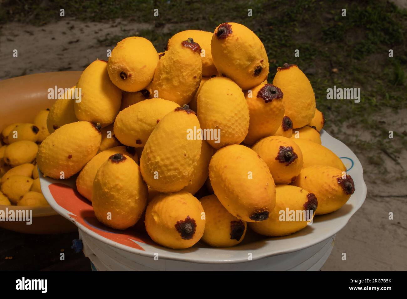Buruti is a fruit widely consumed in the Amazon, it is nutritious and ...