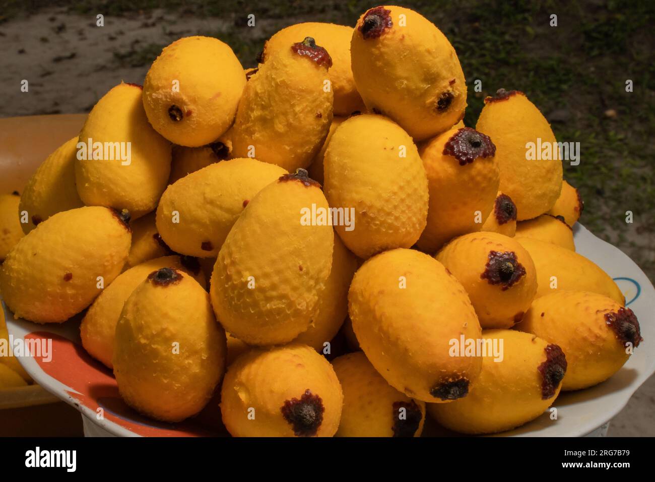 árbol maduro hi-res stock photography and images - Alamy