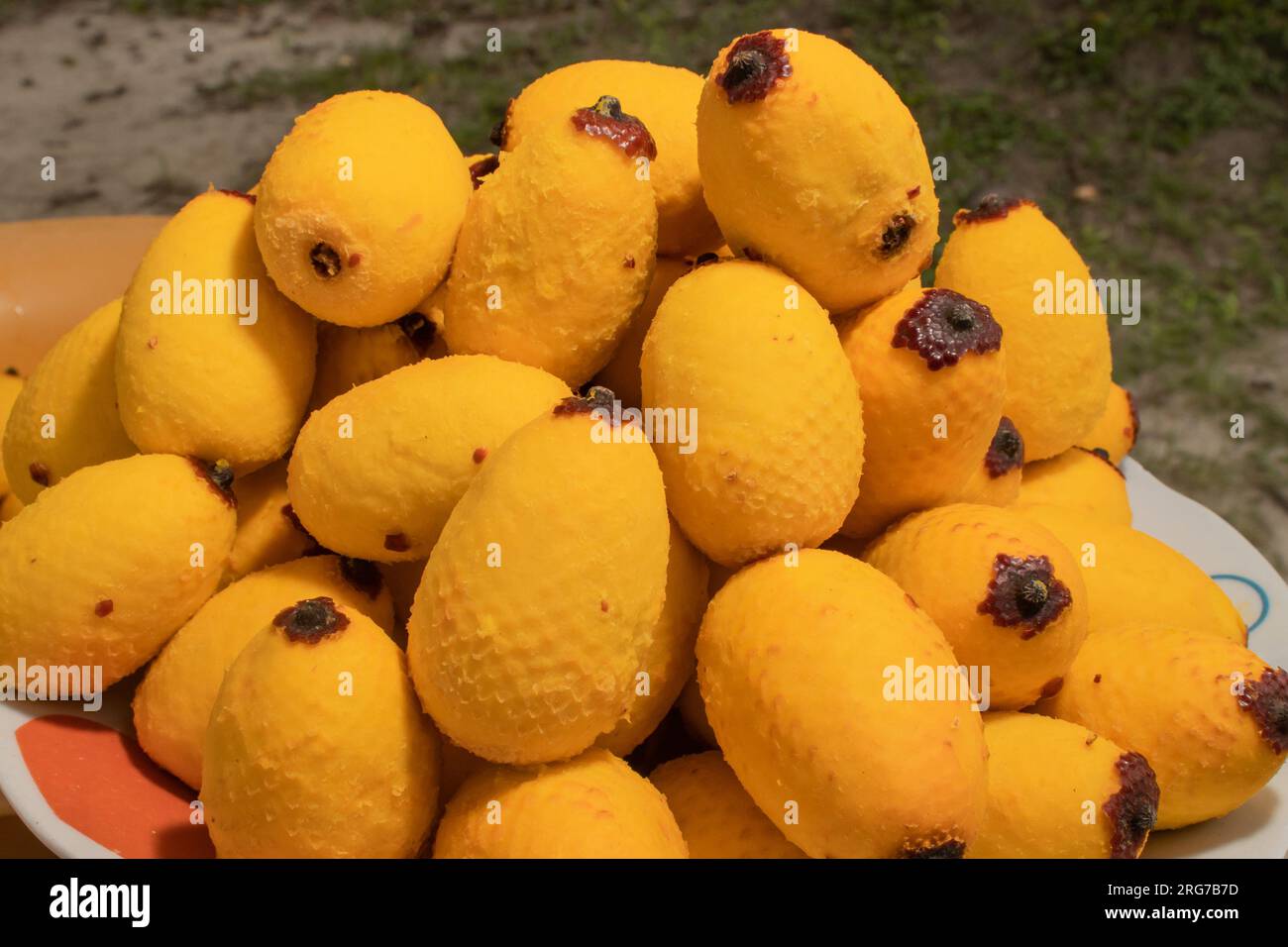 Buruti is a fruit widely consumed in the Amazon, it is nutritious and ...