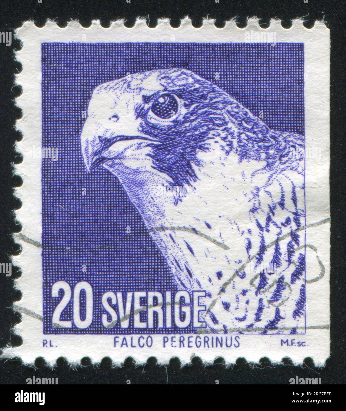 SWEDEN - CIRCA 1973: stamp printed by Sweden, shows Peregrine falcon ...
