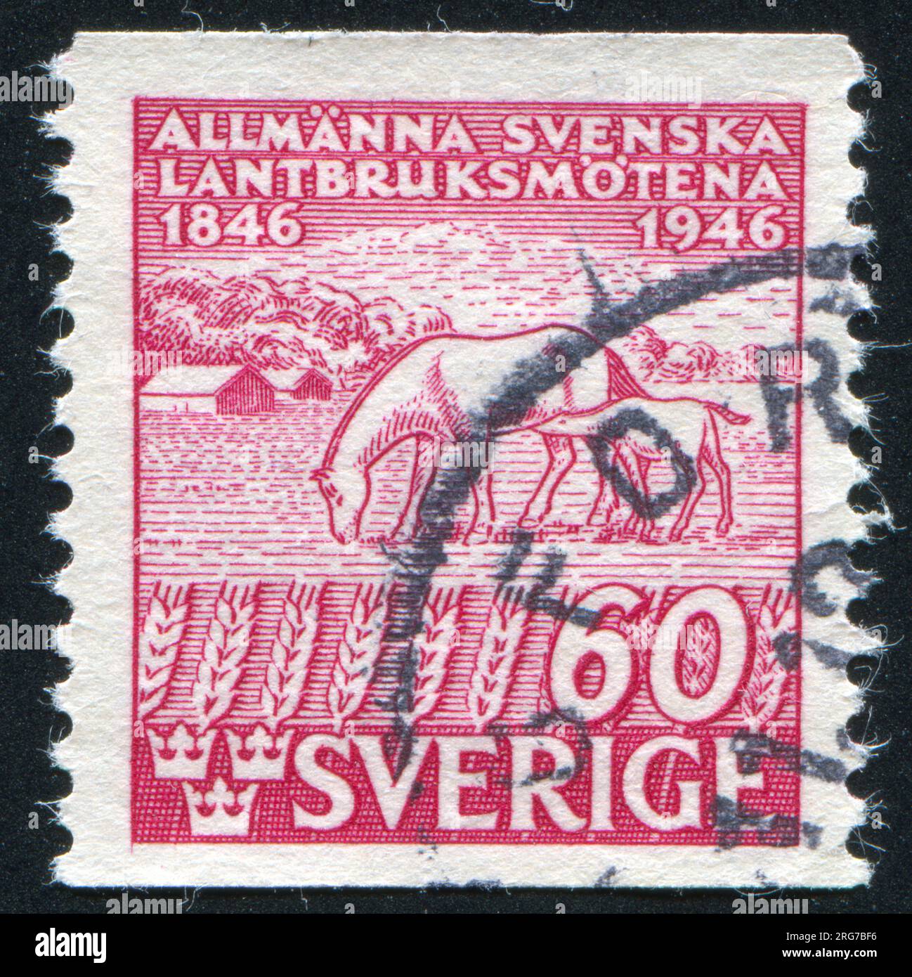 SWEDEN - CIRCA 1946: stamp printed by Sweden, shows Mare and Colt ...