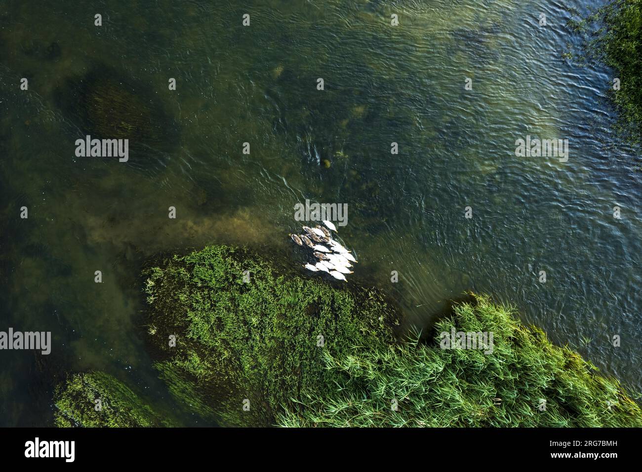 Aerial photo shows the scenery around the Wohu mountain in Jinan City ...
