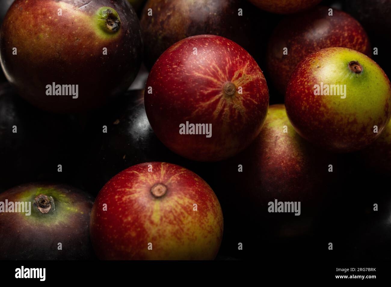 Camu camu is the fruit that contains the highest concentration of ...