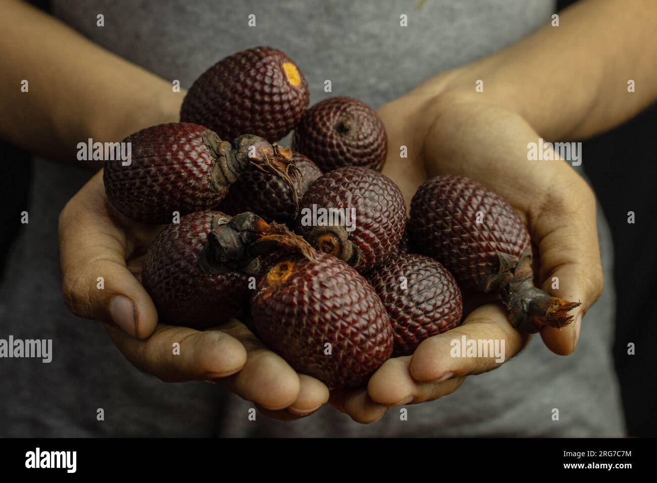 Aguaje is a highly appreciated fruit in the Amazon for its flavor and ...