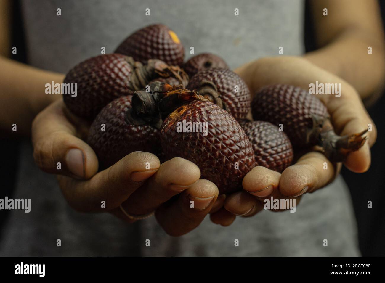 Aguaje is a highly appreciated fruit in the Amazon for its flavor and ...