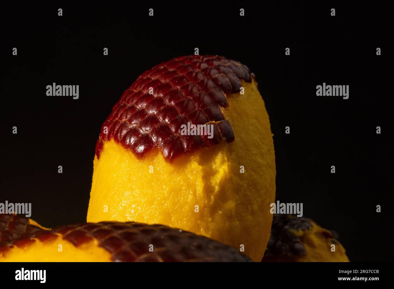 Aguaje is a highly appreciated fruit in the Amazon for its flavor and ...