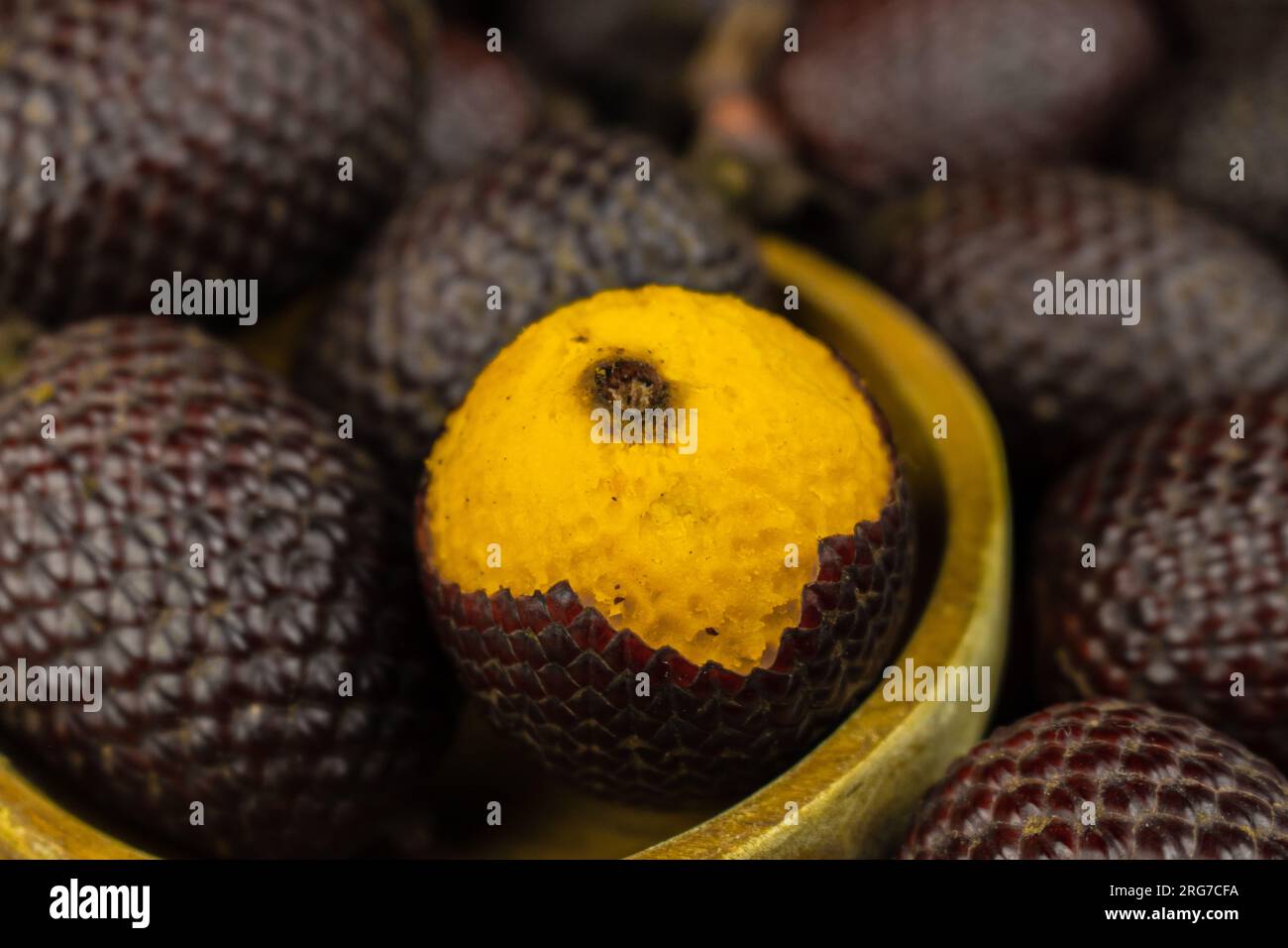 Aguaje is a highly appreciated fruit in the Amazon for its flavor and ...