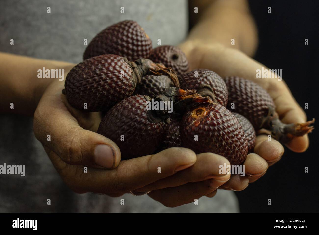 Aguaje is a highly appreciated fruit in the Amazon for its flavor and ...