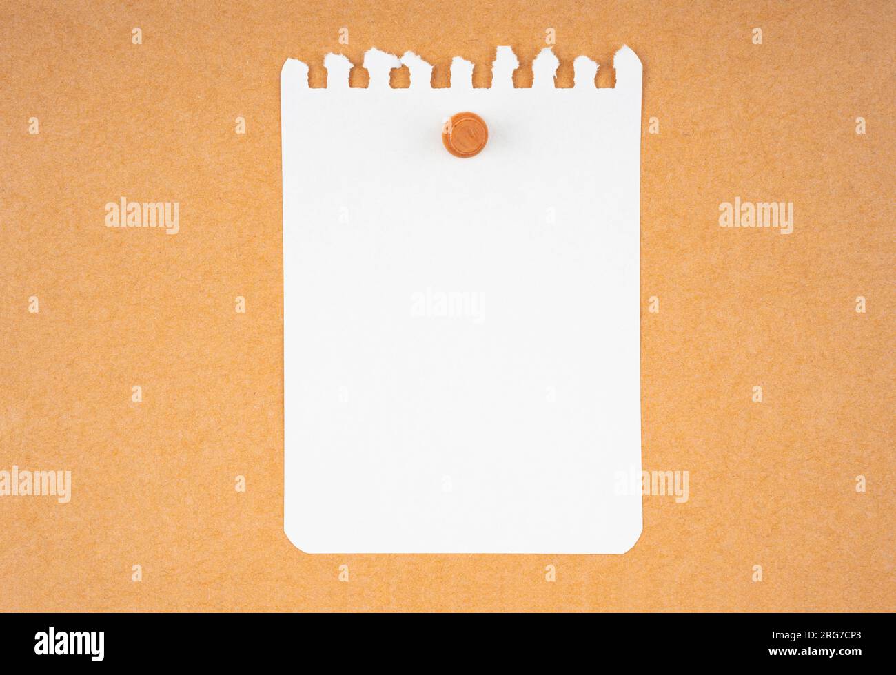 Blank white torn paper note with wooden push pin on brown board ...