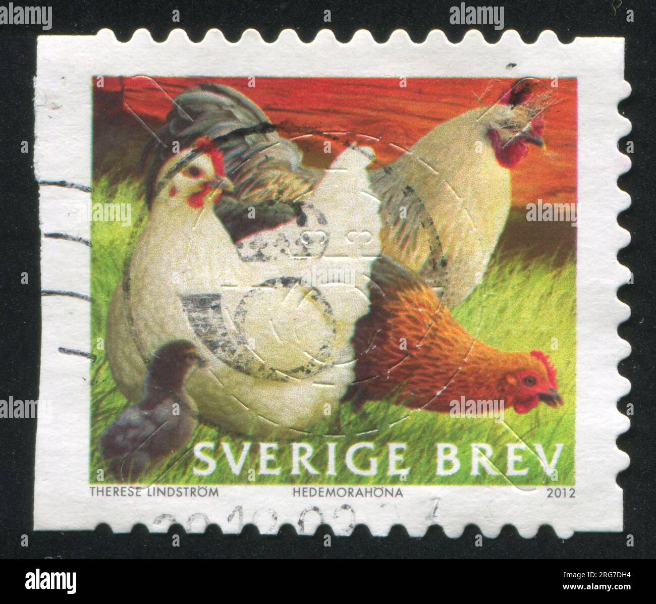 SWEDEN - CIRCA 2012: stamp printed by Sweden, shows chicken, circa 2012 ...