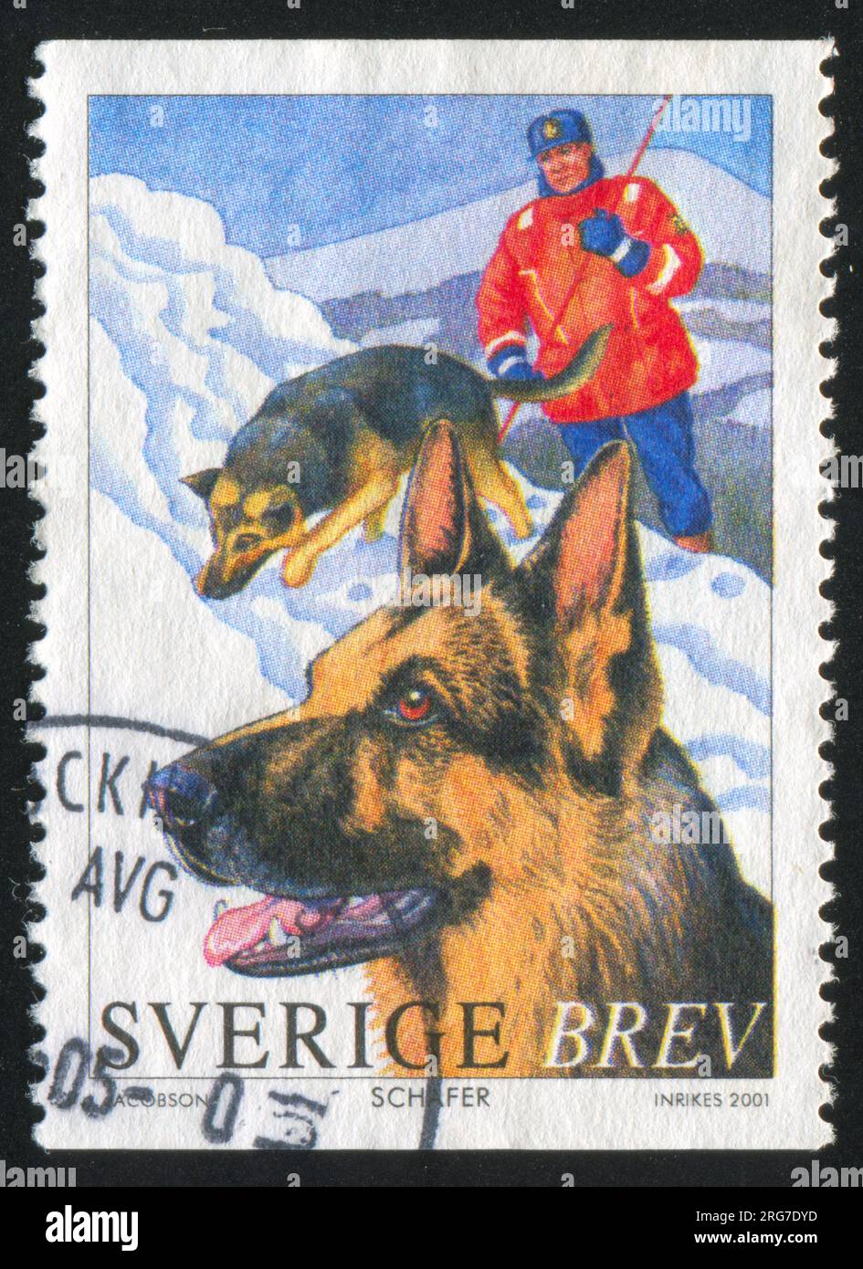 SWEDEN - CIRCA 2001: stamp printed by Sweden, shows German shepherd ...