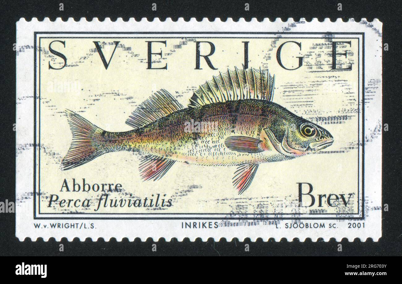 SWEDEN - CIRCA 2001: stamp printed by Sweden, shows Perch, circa 2001 ...