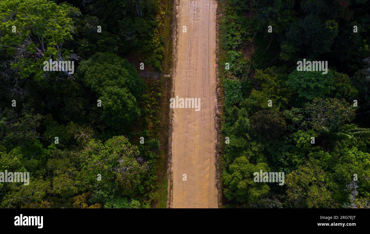 The Amazonian forests of Loreto in Peru, have a lot of vegetation and ...