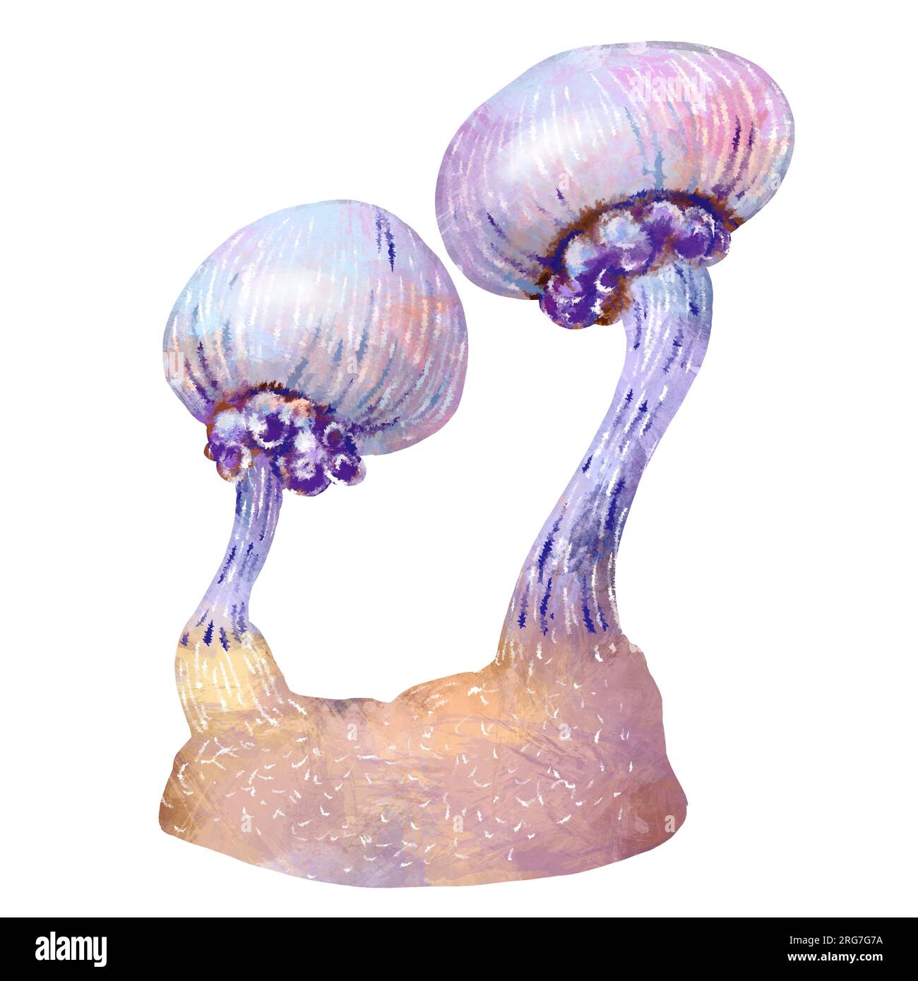 Mold and microorganisms. Close-up of microscopic fungi. For printing ...