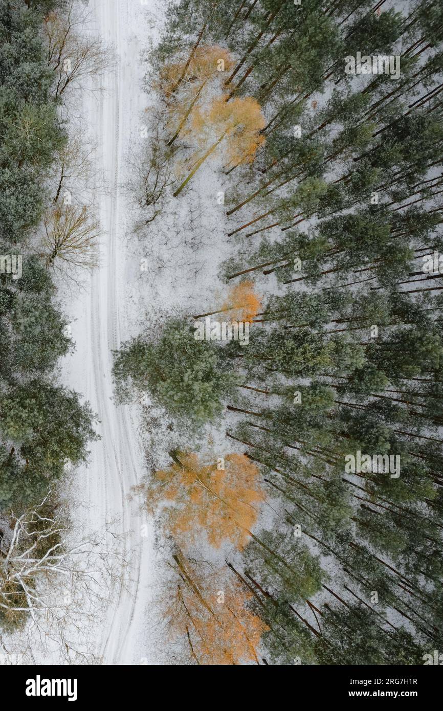 Aerial top view frozen forest hi-res stock photography and images - Alamy