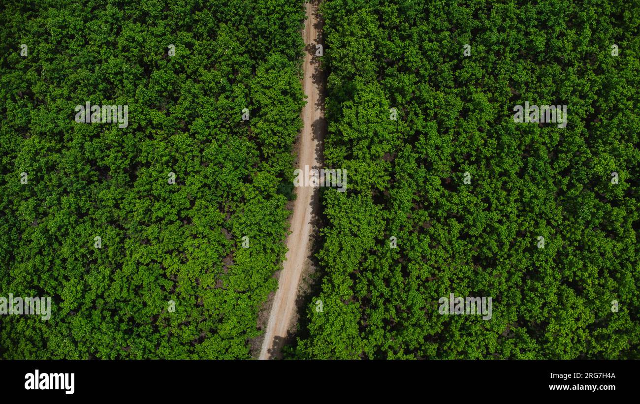 Beautiful landscape on a dirt road among beautiful green spaces ...