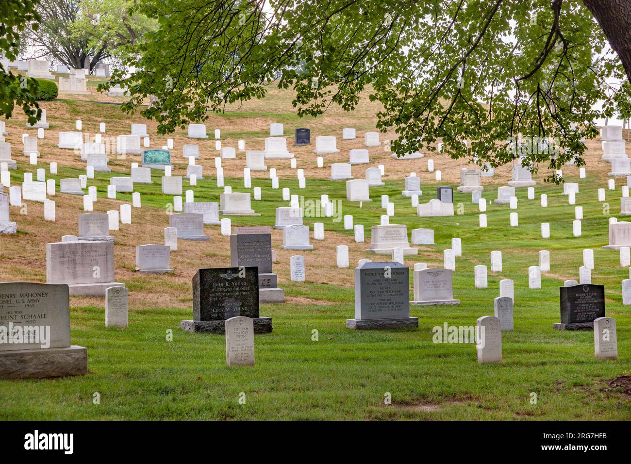 WASHINGTON, USA - JULY 15, 2010: Gravestones on Arlington National ...