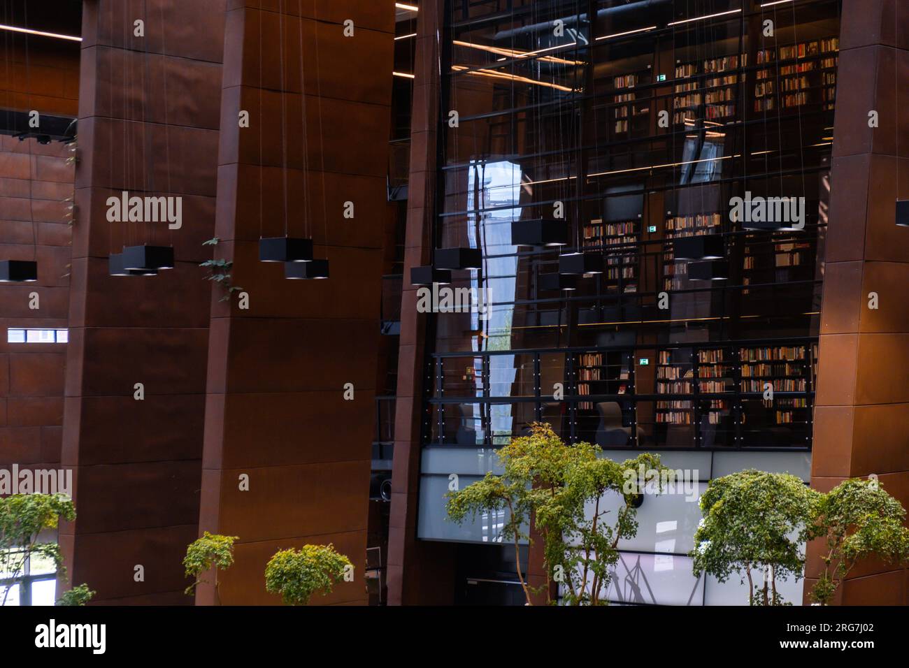 Public Library architecture bookcase Indoor trees Modern interior ...