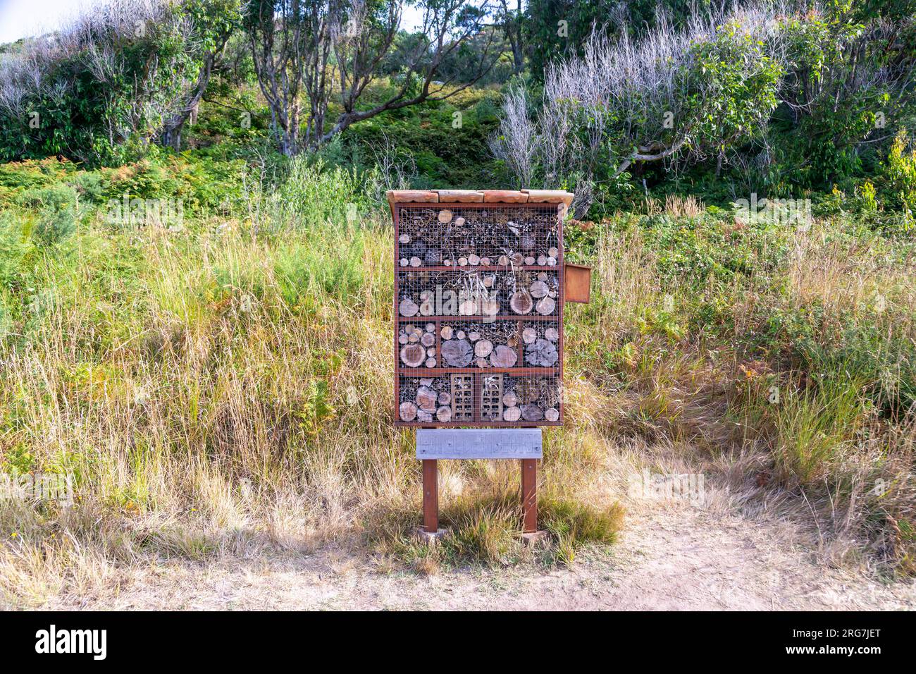 Insect bug hotel, Atlantic Islands Galicia Maritime Terrestrial ...