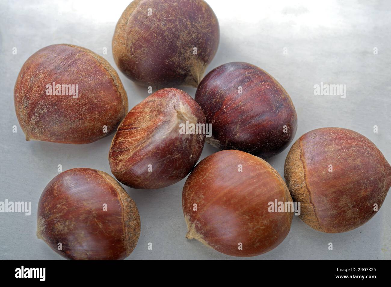 09 29 2009 Food Group of Ripe Chestnut on white background Nainital ...