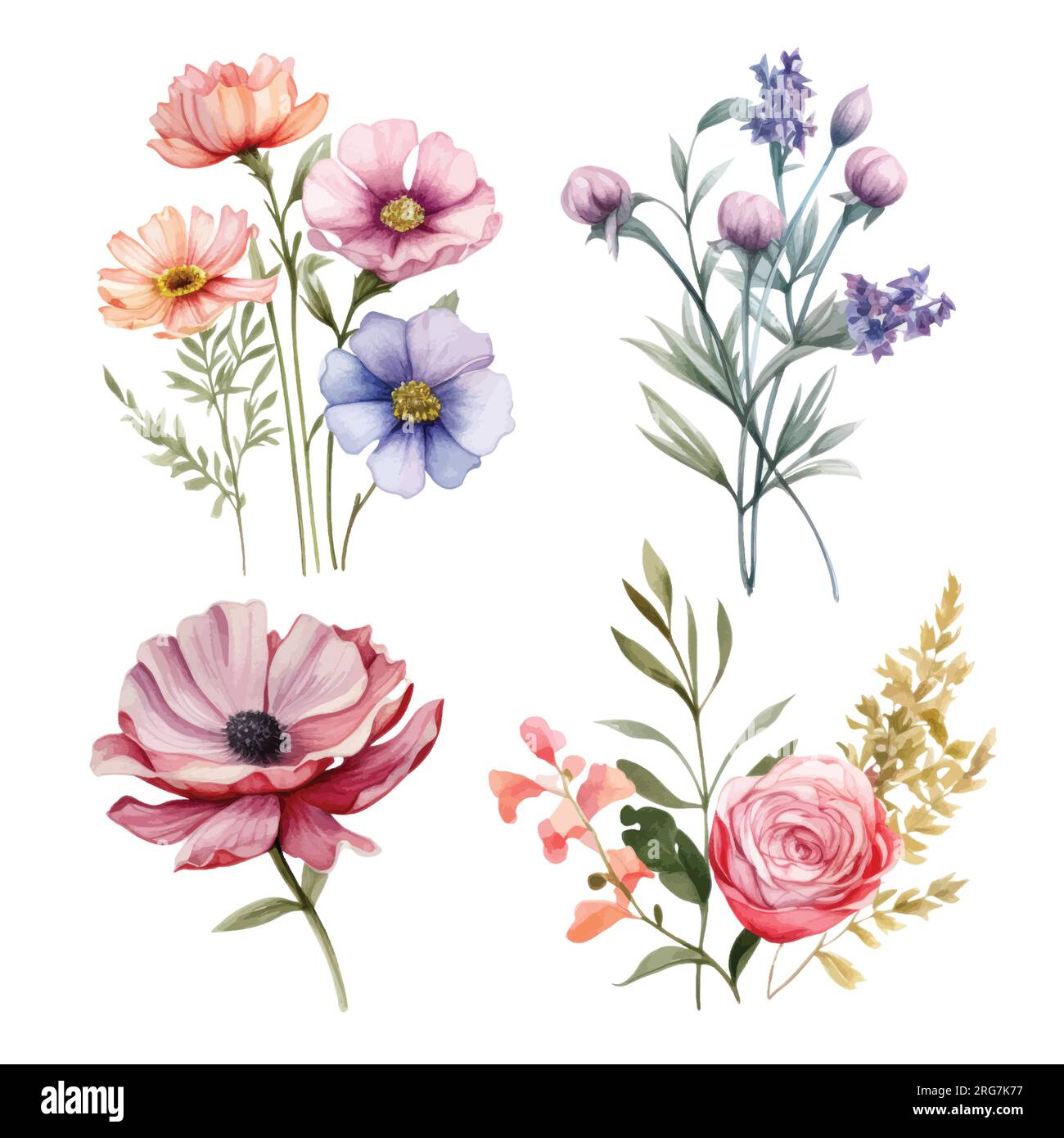 Flowering vector vectors hi-res stock photography and images - Alamy