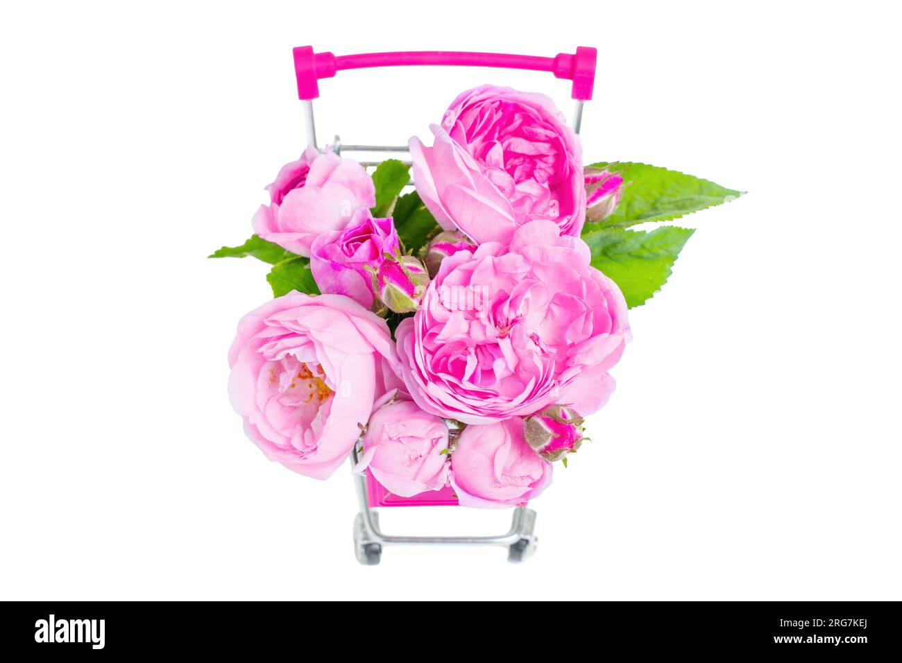 Miniature floral cart hi-res stock photography and images - Alamy