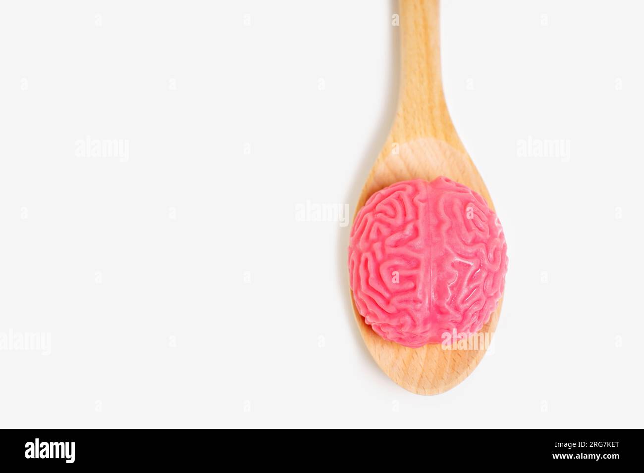 Vibrant human brain model placed on a large wooden spoon isolated on ...