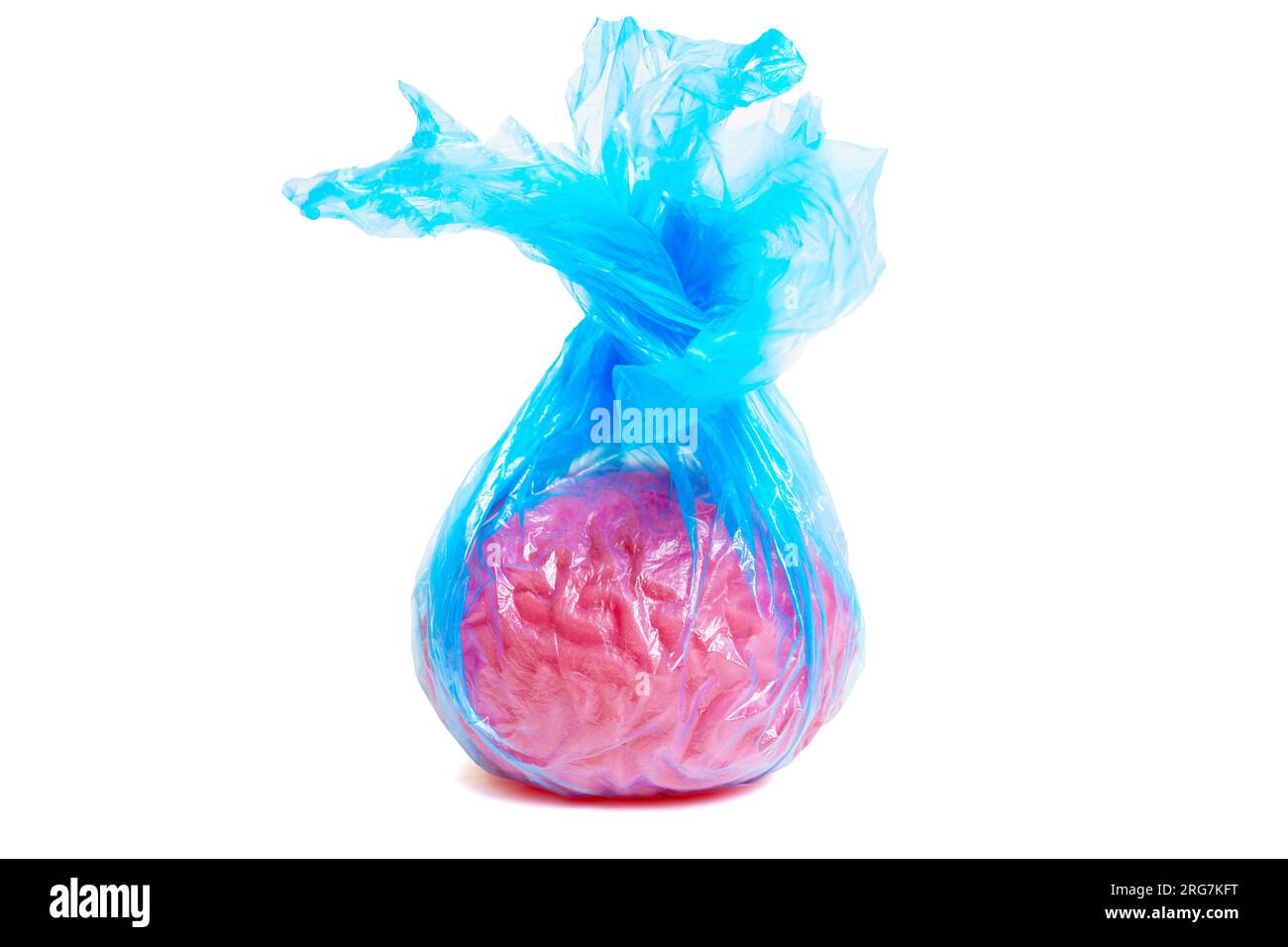 Anatomical replica of a human brain wrapped in a transparent blue trash ...
