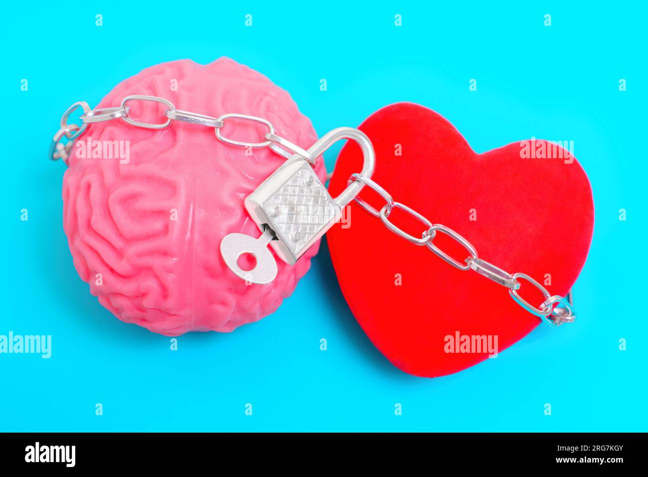 Human brain and heart are joined together by a chain and enclosed with ...