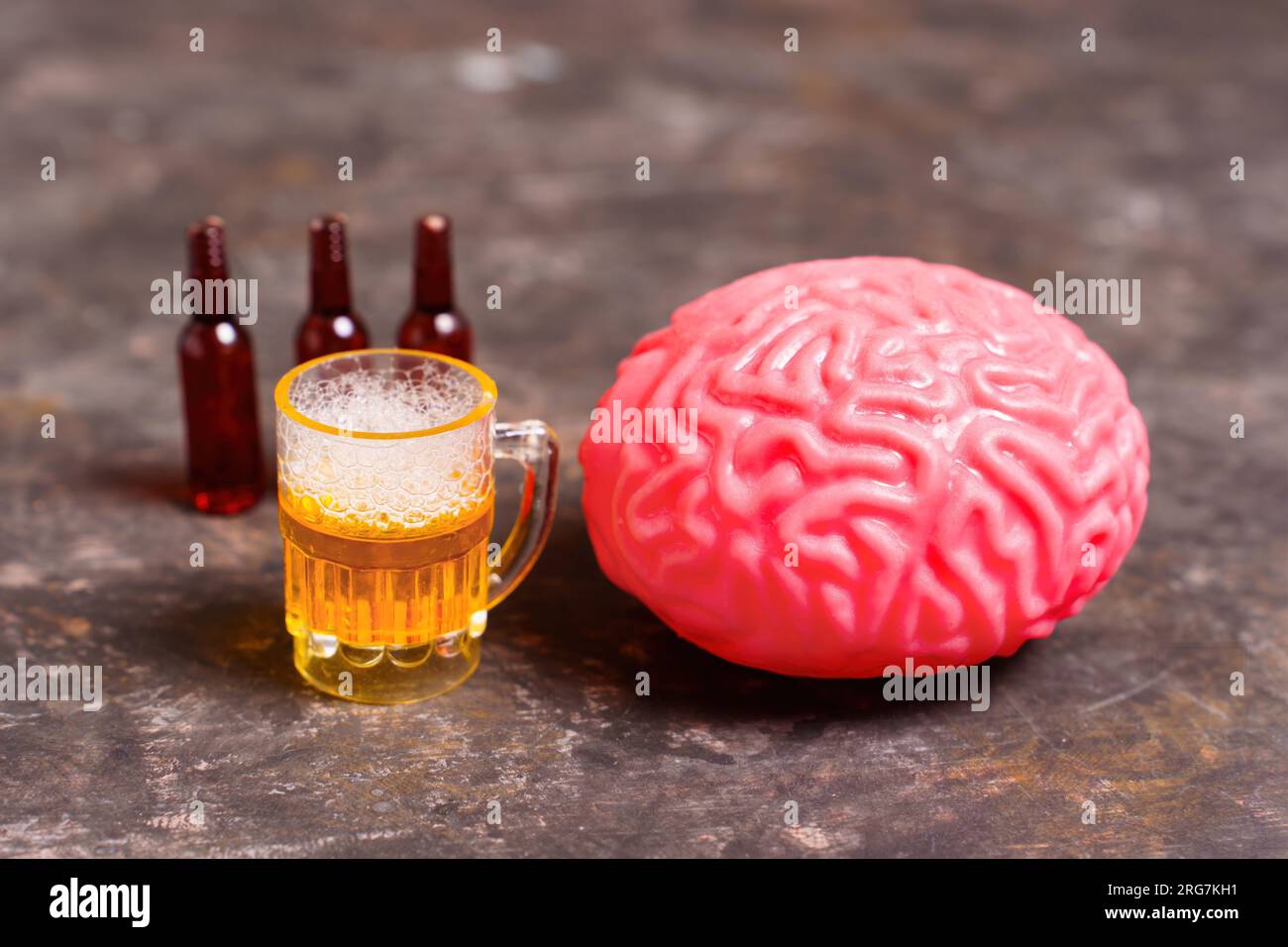 Anatomical model of the human brain accompanied by a miniature beer ...