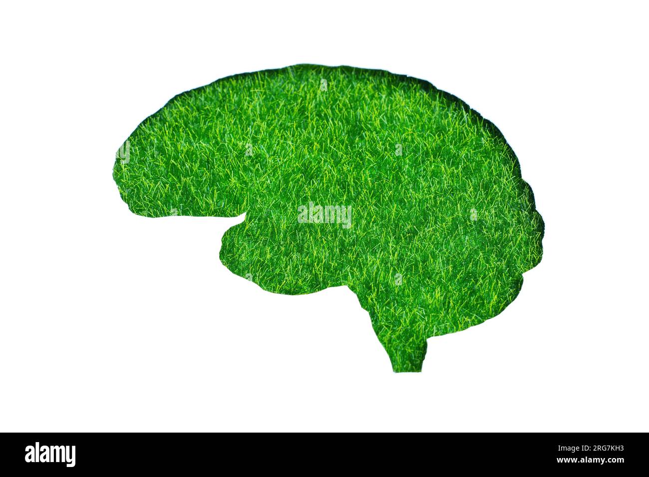 Brain-shaped white paper cutout against a backdrop of vibrant green ...