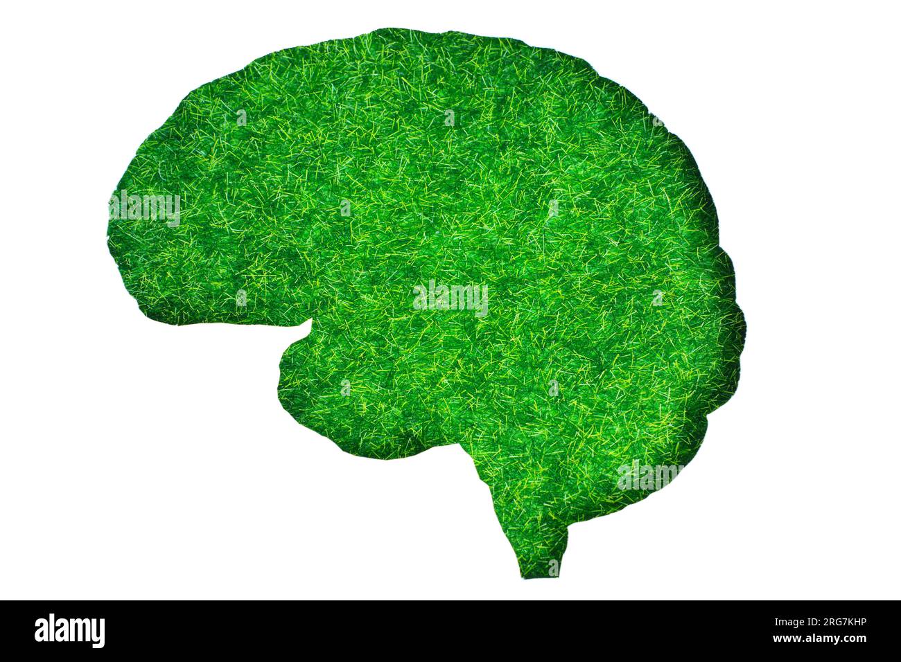 White paper cutout brain shape set against a backdrop of vibrant green ...
