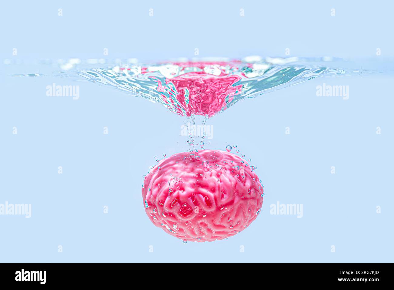 Close-up of an anatomical model of a human brain dropped underwater ...