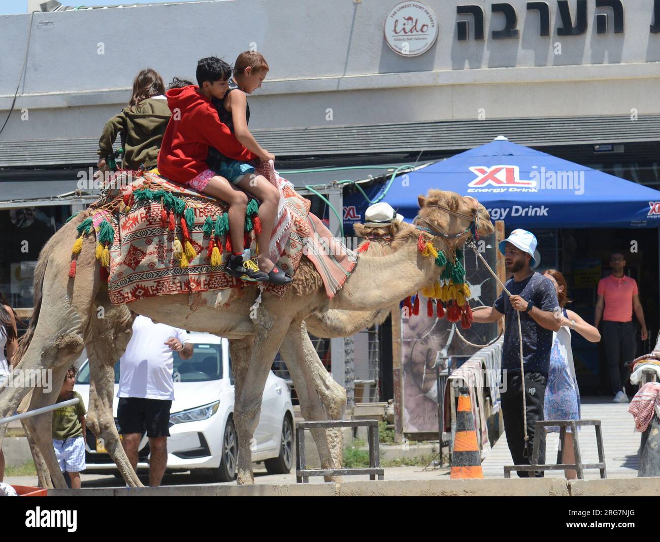 Camel sea hi-res stock photography and images - Alamy