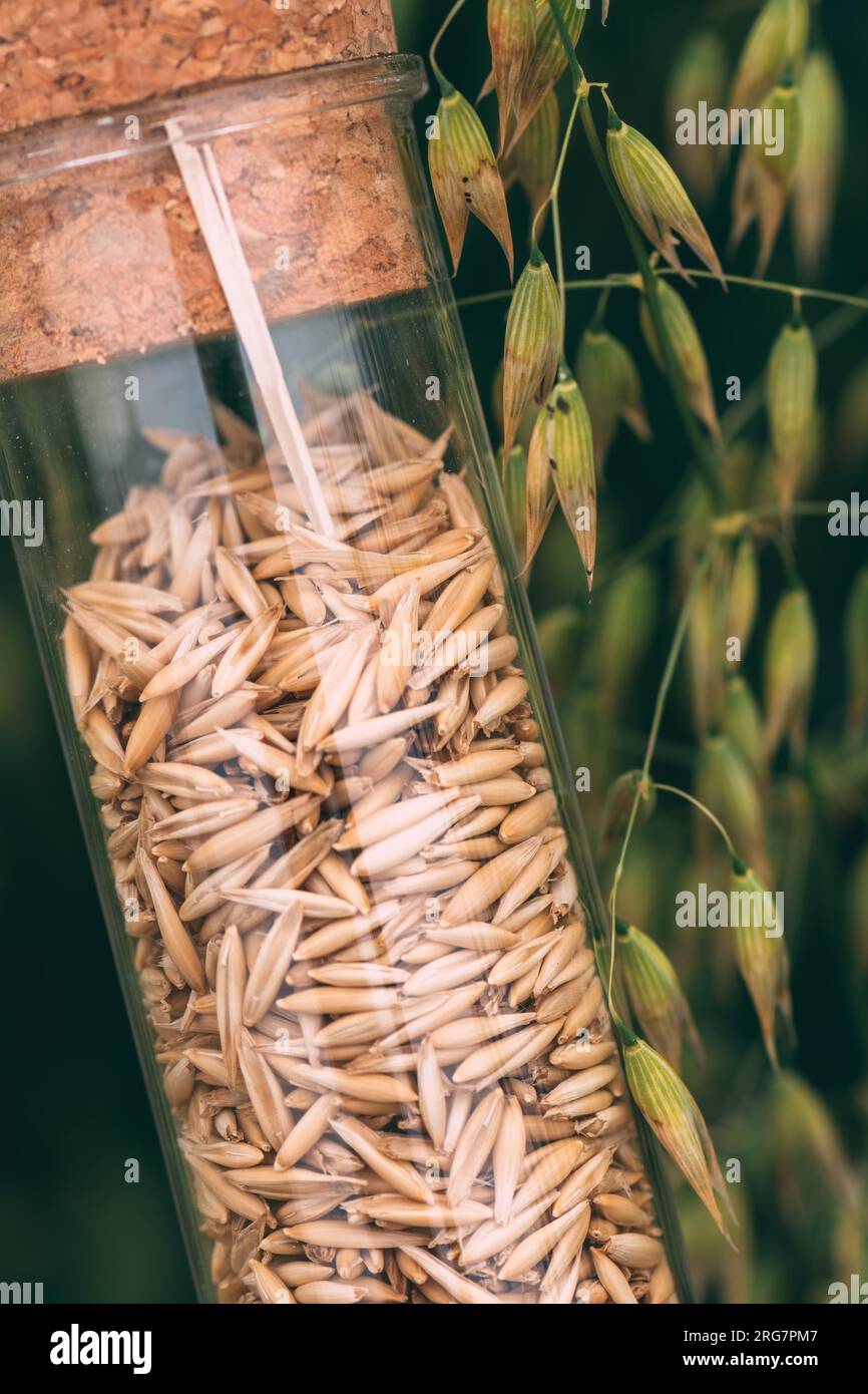 Crop science hi-res stock photography and images - Alamy