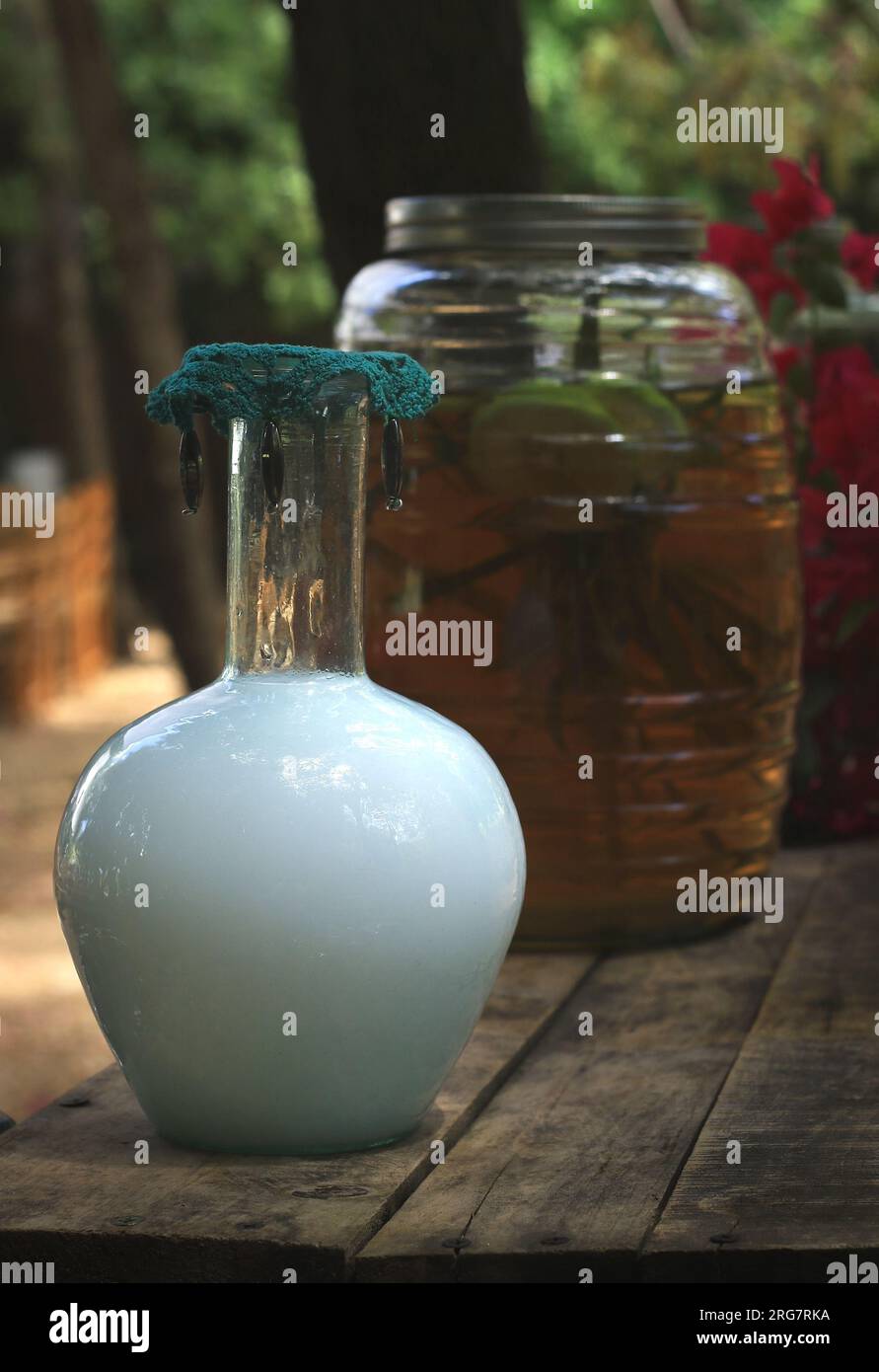 Lebanese Licorice Drink at Bernardo Kuebler blog