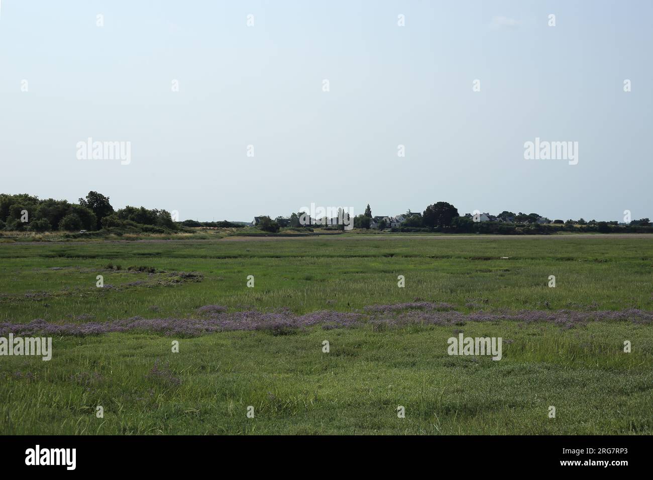 Le ruello hi-res stock photography and images - Alamy