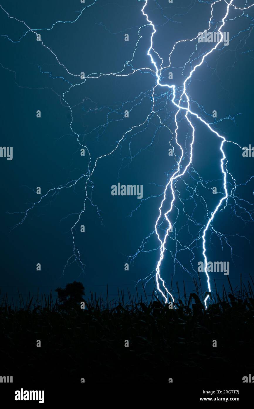Detailed capture of a lightning bolt hitting the earth Stock Photo - Alamy