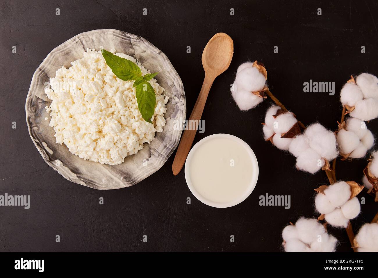 Defatted sour milk cheese, cottage cheese aesthetics. Diet, ukrainian ...