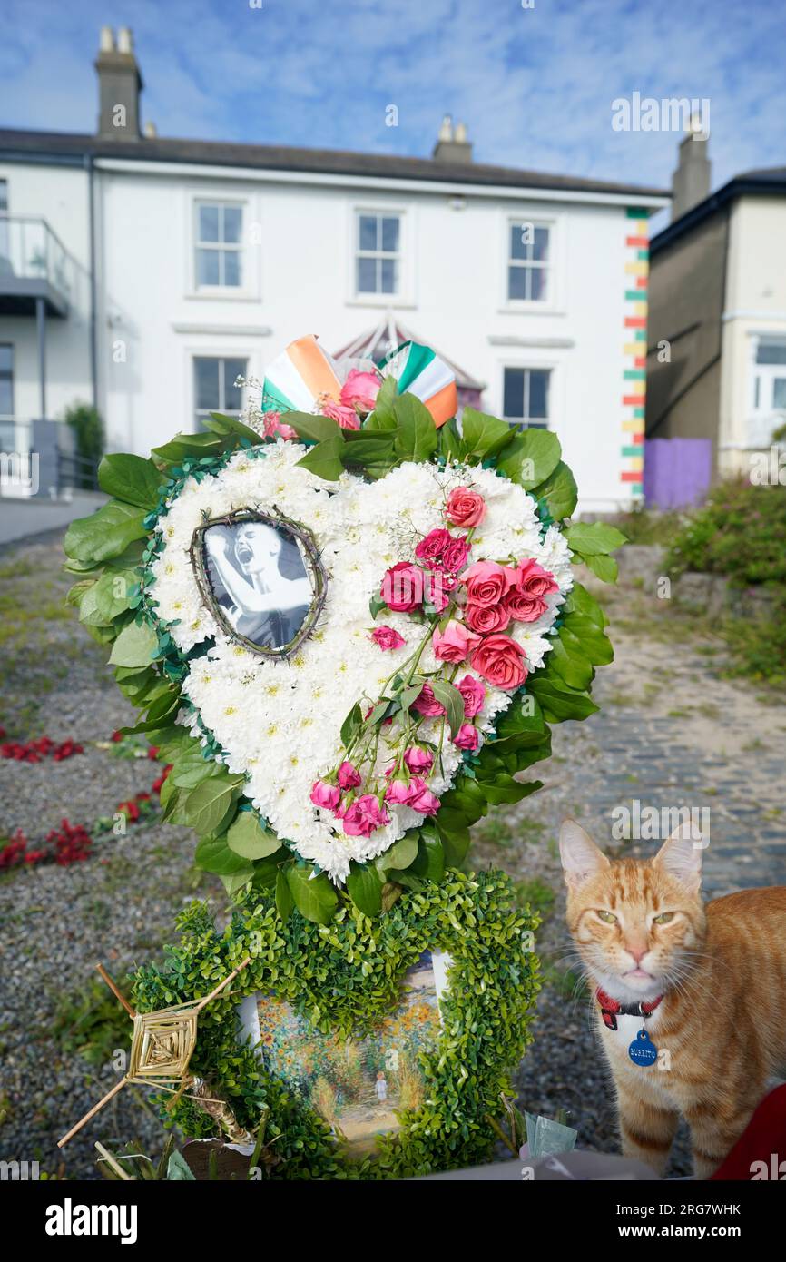 Cat funeral hi-res stock photography and images - Alamy