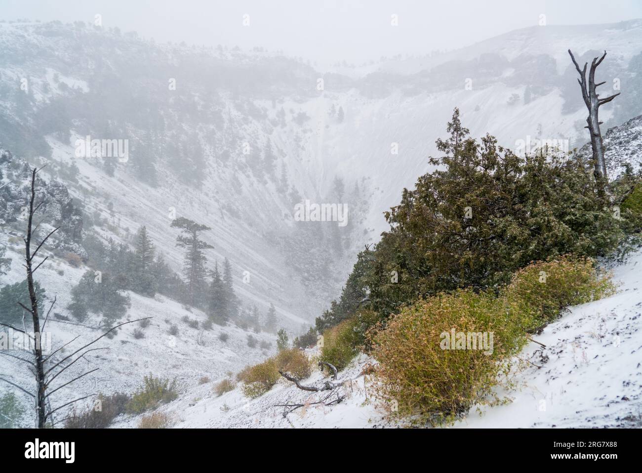Ice Cave and Bandera Volcano in New Mexico Stock Photo - Alamy